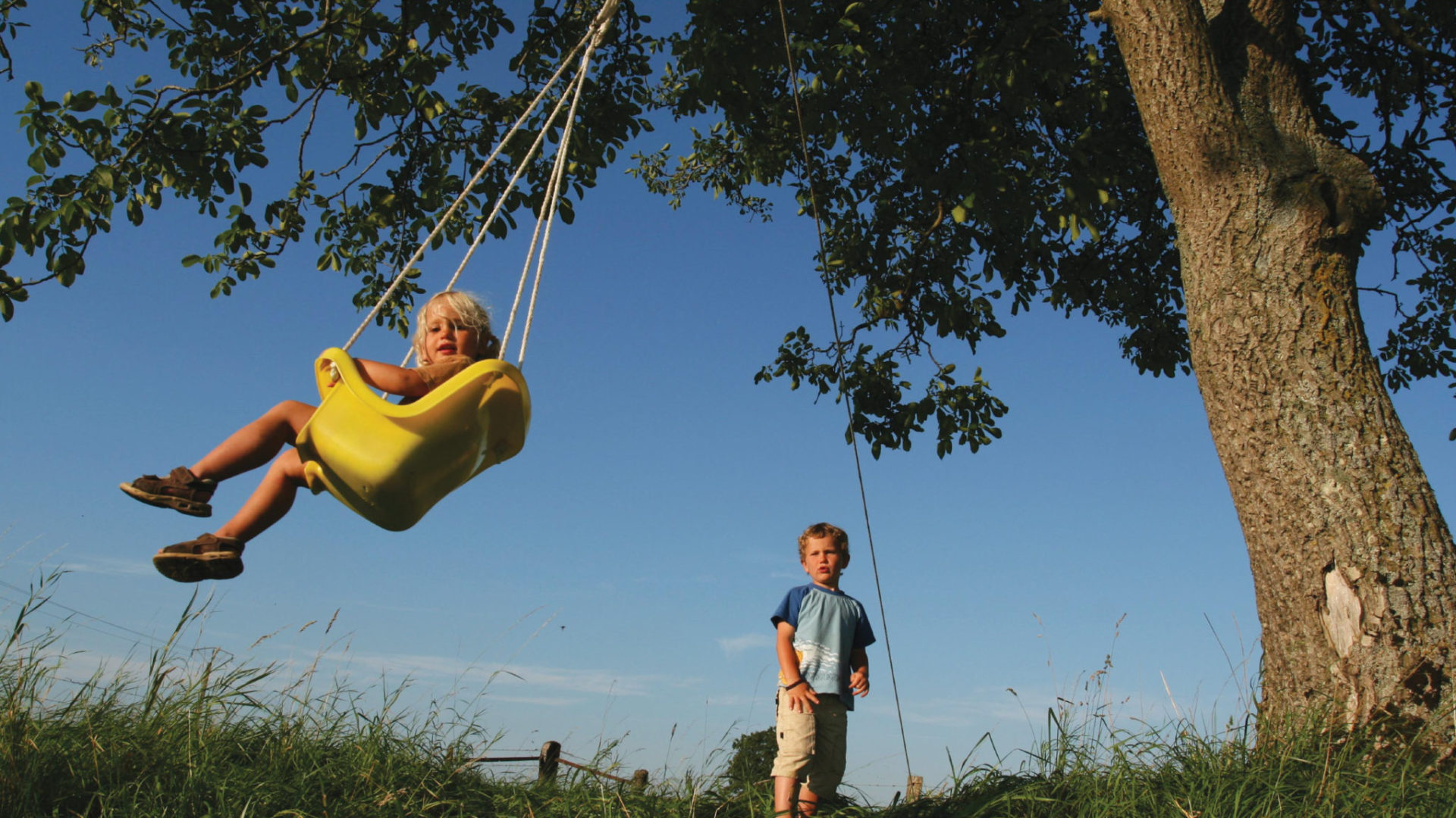 Waterfield – Evolve Development